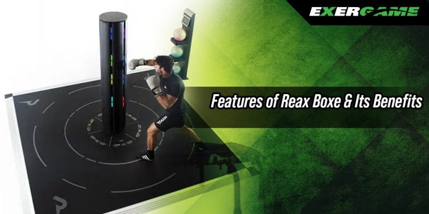 Features of Reax Boxe & Its Benefits: A Comprehensive Guide